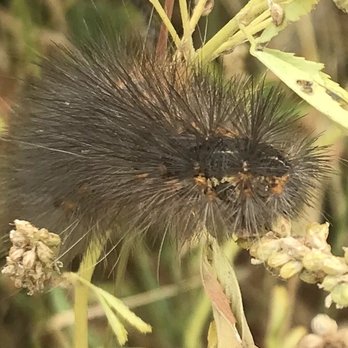 DEFOREST PARK - Updated December 2025 - 38 Photos & 15 Reviews - 6255 ...