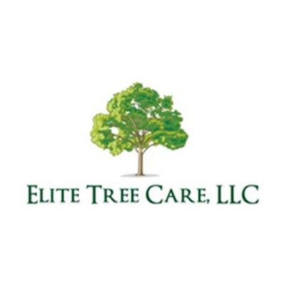ELITE TREE CARE - Updated July 2024 - Arnold, Maryland - Tree Services ...