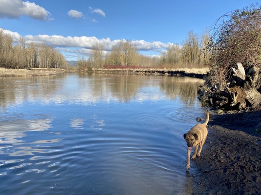 1000 ACRE DOG PARK - 161 Photos & 151 Reviews - Exit 18 Crown Point Hwy ...