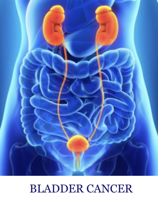 GRIFFITH UROLOGY - Updated September 2025 - 575 S Wickham Rd, Melbourne, Florida - Urologists ...