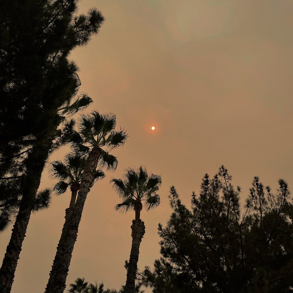 RIVER WALK PARK - Updated July 2025 - 148 Photos & 60 Reviews - 7674 ...