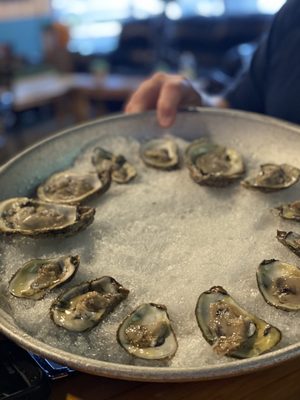 KELLY’S HALF SHELL PUB - 208 Photos & 198 Reviews - 390 N Suncoast Blvd ...