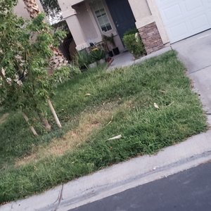 NEVADA COMMUNITY MANAGEMENT - Updated October 2025 - 18 Photos & 67 ...