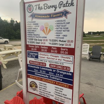 THE BERRY PATCH - Updated March 2025 - 234 Photos & 58 Reviews - 351 ...