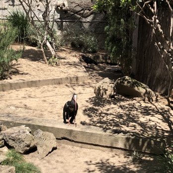 MICKE GROVE PARK - Updated June 2024 - 166 Photos & 59 Reviews - 11793 ...