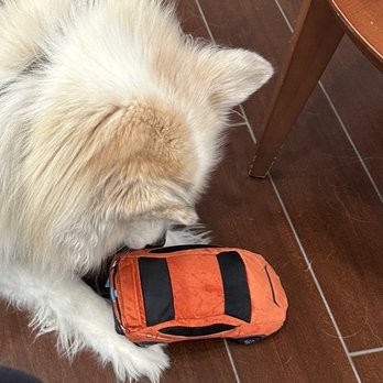 ZEIGLER SUBARU OF KENOSHA - Updated January 2026 - 13 Photos & 48 ...