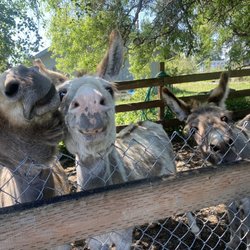 Best Zoos Near Me - October 2025: Find Nearby Zoos Reviews - Yelp