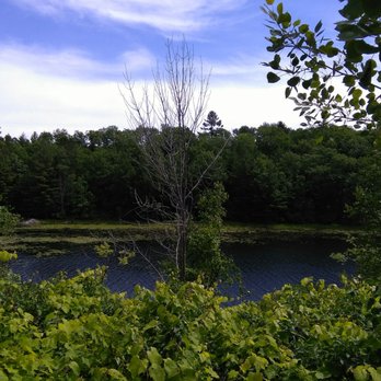 RIFLE RIVER RECREATION AREA - Updated October 2025 - 12 Photos - 2550 E ...