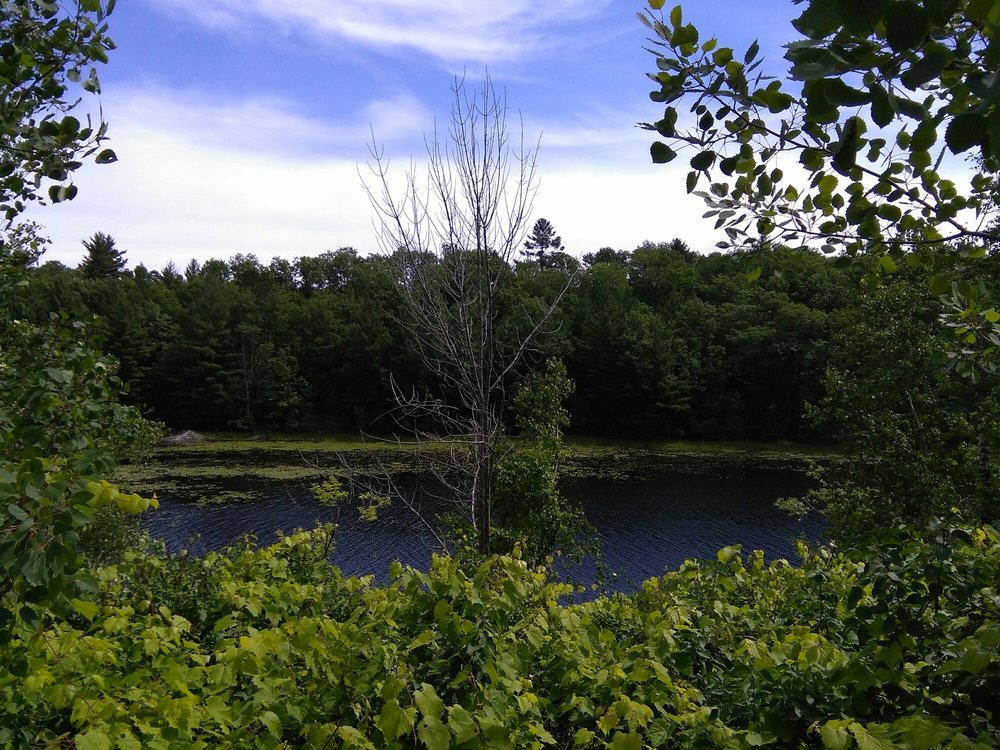 RIFLE RIVER RECREATION AREA - Updated February 2025 - 12 Photos - 2550 ...