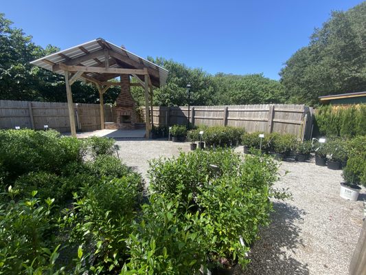 THE PLANT BARN BATON ROUGE - Updated December 2025 - 2912 Valley St ...