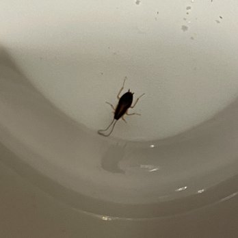 2221 SOUTH CLARK - Updated December 2025 - 20 Photos - 2221 S Clark St ...