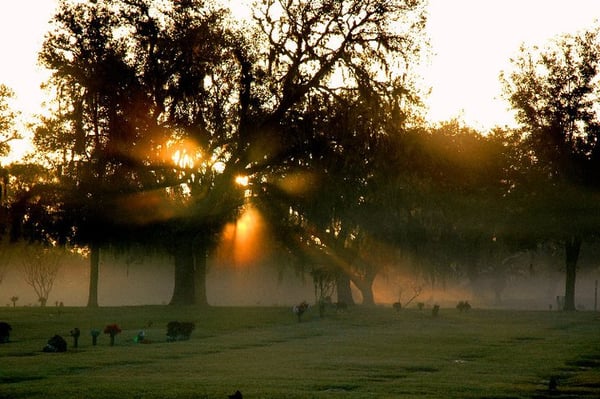 WOODLAWN MEMORIAL PARK & FUNERAL HOME - Updated December 2025 - 73 ...