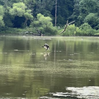 WHEATON REGIONAL PARK - Updated May 2025 - 130 Photos & 90 Reviews ...