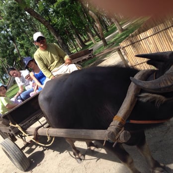 STA. ELENA FUN FARM - Updated October 2025 - 22 Photos - Cabuyao, Santa ...