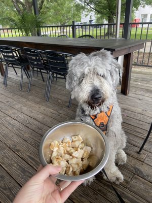 THE SMILING DOG - Updated October 2025 - 110 Photos & 52 Reviews - 4215 ...