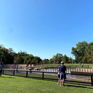JOHNNY STEELE DOG PARK - 156 Photos & 129 Reviews - 2929 Allen Pkwy ...