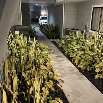 RESIDENCE INN LOS ANGELES LAX/MANHATTAN BEACH - Updated November 2025 ...