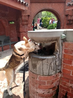 SUMMER HOUSE - Updated September 2025 - E Capitol Cir NW, Washington ...