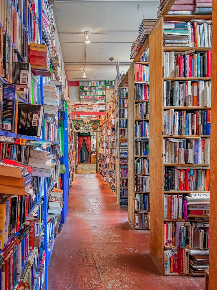 CAL’S BOOKS - Updated August 2024 - 38 Photos & 60 Reviews - 5242 ...