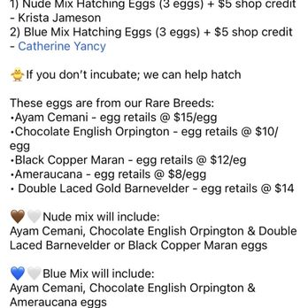 HATCHD HATCHERY - Updated May 2025 - 25 Photos - Bryan, Texas - Pet ...