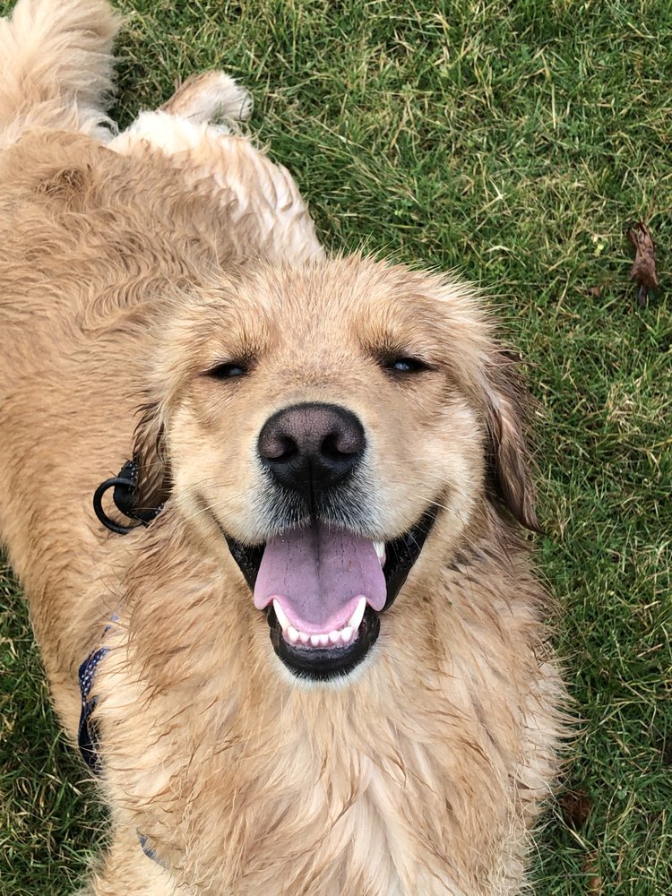 PLOSKY DENTAL - Updated December 2025 - 11 Photos & 47 Reviews - 233 E ...