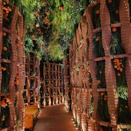 MIJO MODERN MEXICAN RESTAURANT - Updated January 2026 - 2223 Photos ...