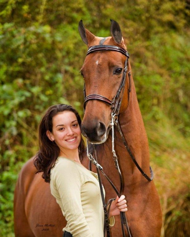 NORTH WIND STABLES - Updated June 2025 - 28 Photos - 6 Meadow Cliff Ln ...