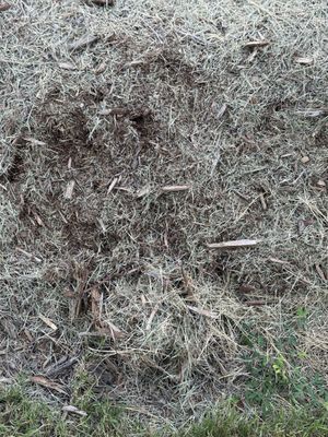 BLAND LANDSCAPING - Updated October 2025 - 13 Photos & 12 Reviews ...