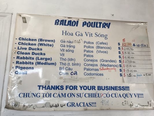 BALADI POULTRY - 38 Photos & 31 Reviews - Meat Shops - 8261 Bolsa Ave ...