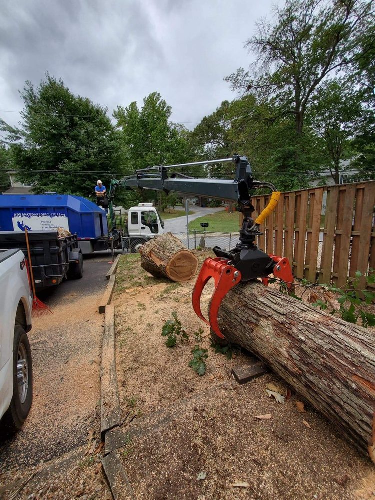 ADVANCED ARBORICULTURE - Updated July 2025 - Odenton, Maryland - Tree ...