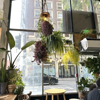 YUKO KITCHEN DTLA - Updated March 2025 - 1245 Photos & 588 Reviews ...