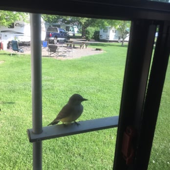 BOARDMAN MARINA & RV PARK - Updated October 2025 - 34 Photos & 28 ...