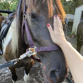 HIDDEN PALMS RANCH - 65 Photos & 22 Reviews - 1410 Oakway, Sanford ...