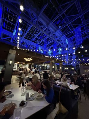 ZEPPOLE - Updated September 2024 - 378 Photos & 301 Reviews - 1501 ...