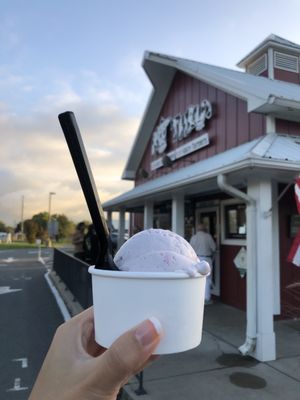 MOO THRU - 349 Photos & 553 Reviews - 11402 James Madison Hwy ...