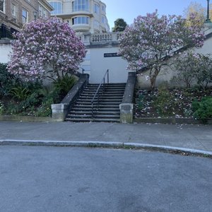 LYON STREET STEPS - 582 Photos & 344 Reviews - Lyon Street & Green St ...