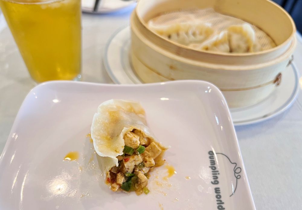 DUMPLING WORLD - 123 Photos & 55 Reviews - 3149 Hwy 6, Sugar Land ...