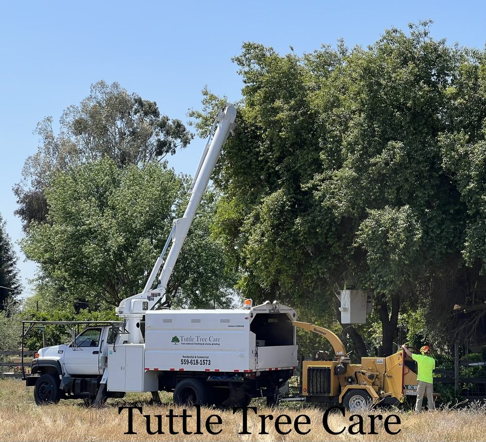 Tuttle Tree Care - Same Day Service Available - Updated April 2025 - 25 ...