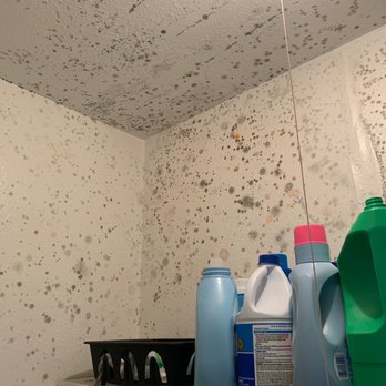 7100 ALMEDA - Updated December 2025 - 64 Photos & 39 Reviews - 7100 ...