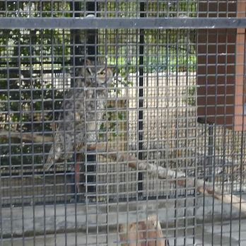 SAN DIMAS CANYON NATURE CENTER - Updated January 2025 - 50 Photos & 16 ...