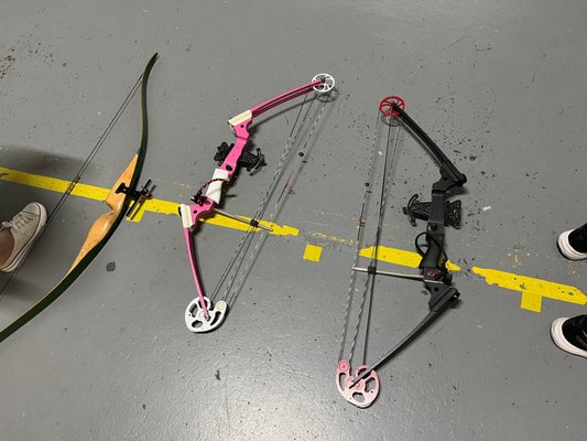 QUEENS ARCHERY - Updated April 2025 - 242 Photos & 396 Reviews - 170-20 ...