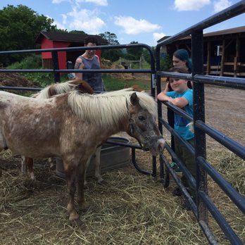 RT. 80 QUARRY RIDGE STABLES - Updated October 2025 - 28 Photos & 11 ...