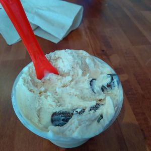 THE GELATO FIASCO - 302 Photos & 350 Reviews - 425 Fore St, Portland ...
