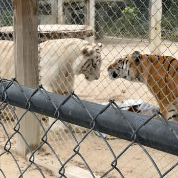 OCTAGON WILDLIFE SANCTUARY - Updated October 2025 - 213 Photos & 45 ...