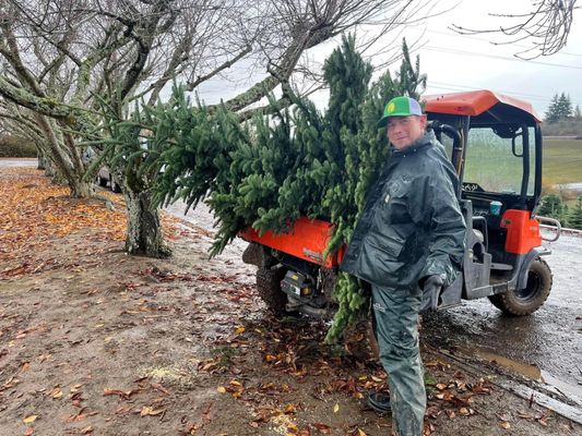 REICHEN CHRISTMAS TREE FARM - Updated October 2025 - 8450 NW 185th Ave ...