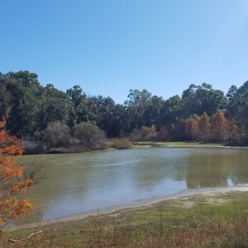 PEDRICK POND PARK - Updated December 2025 - 59 Photos - 1583 Pedrick Rd ...