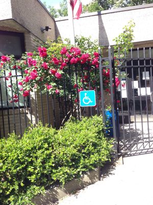 BROOKLYN PUBLIC LIBRARY - CLINTON HILL LIBRARY - Updated October 2025 ...