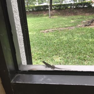 CYBRARIUM - Updated November 2025 - 26 Photos - 80 W Mowry Dr ...