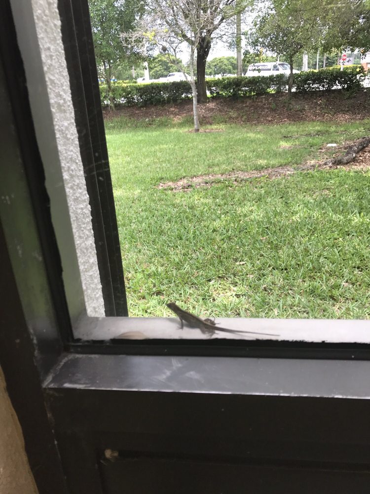 HOMESTEAD BRANCH - Updated September 2025 - 700 N Homestead Blvd ...