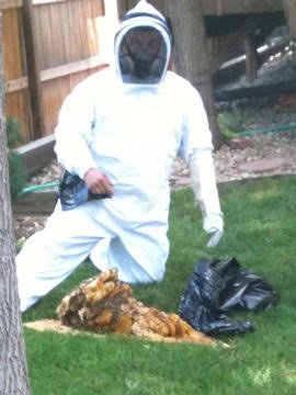 WRIGHT PEST CONTROL - Updated August 2025 - 5370 Dove Creek Dr, Elizabeth, Colorado - Pest ...